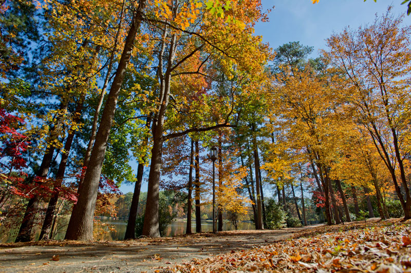 Login - Clayton State University